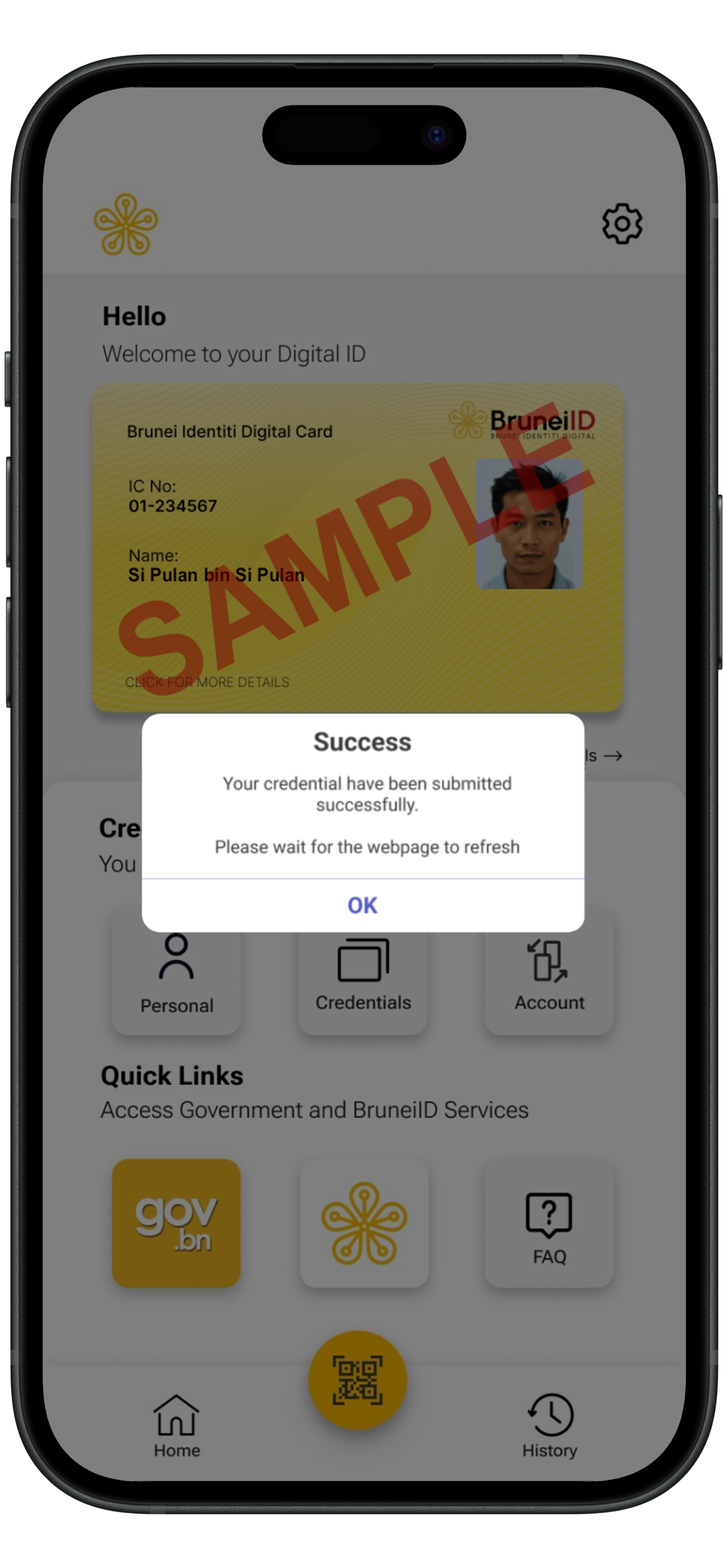 Login Success Preview