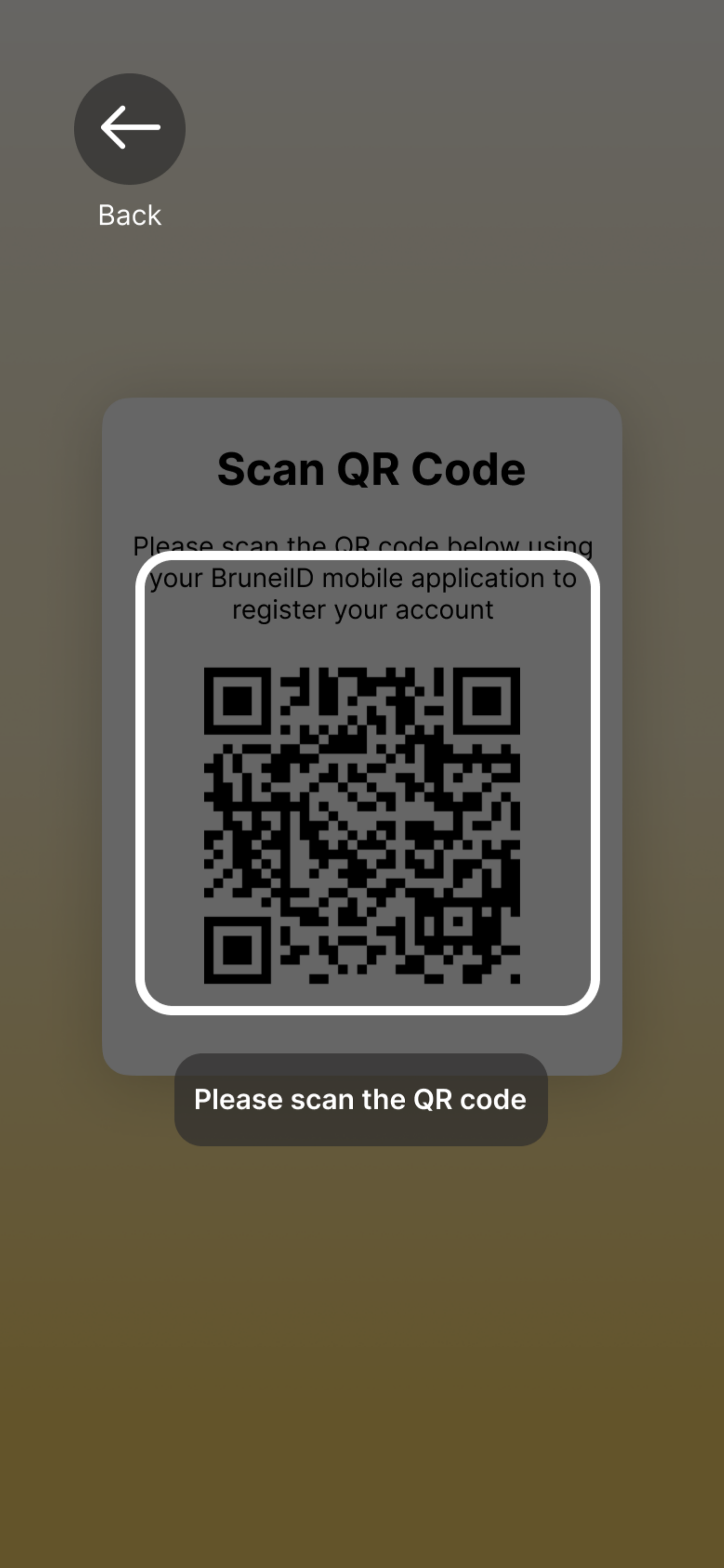 Scan QR